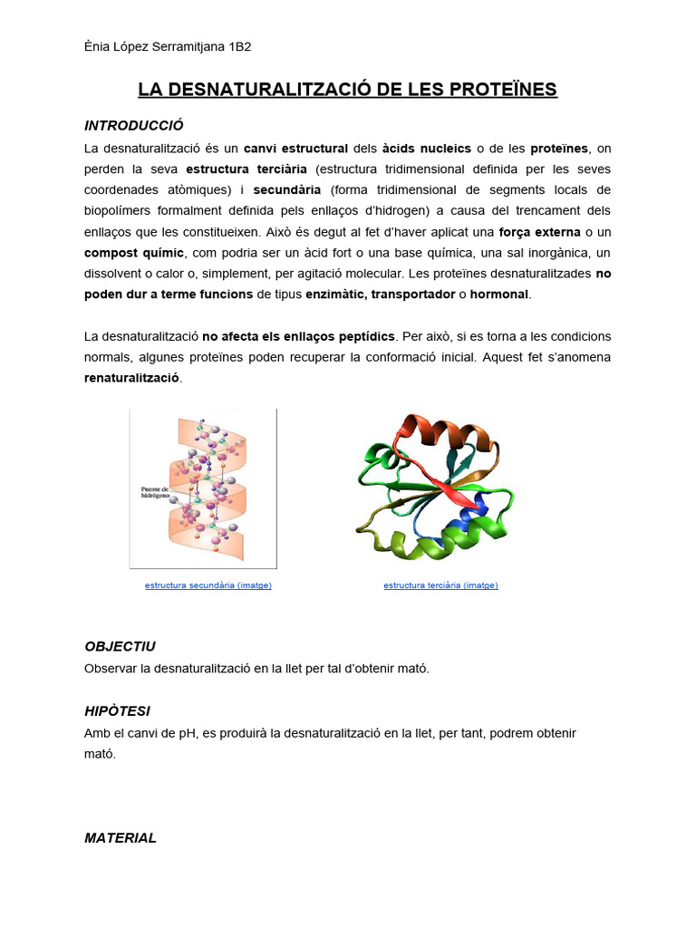 La Desnaturalització de Les Proteïnes | PDF