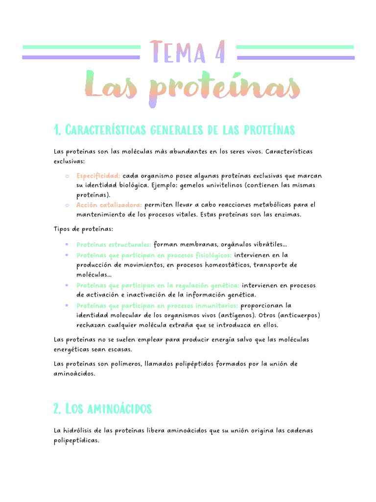 Características y Estructura de Proteínas | PDF | Aminoácidos ...