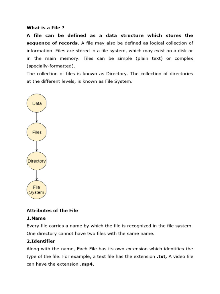 File Management | PDF | Computer File | File System