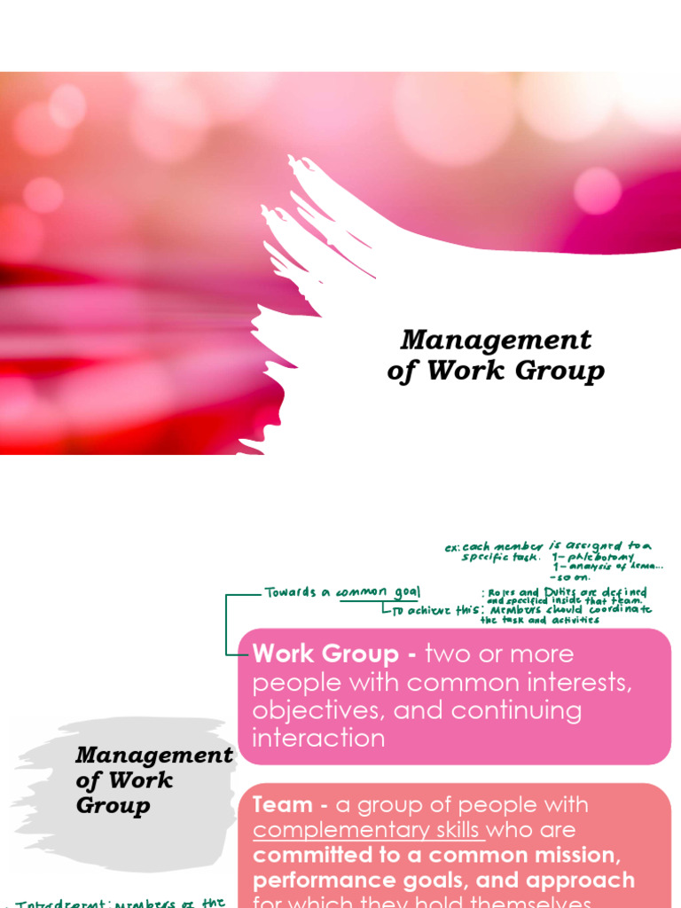 Management of Work Groups | PDF | Behavioural Sciences | Psychology