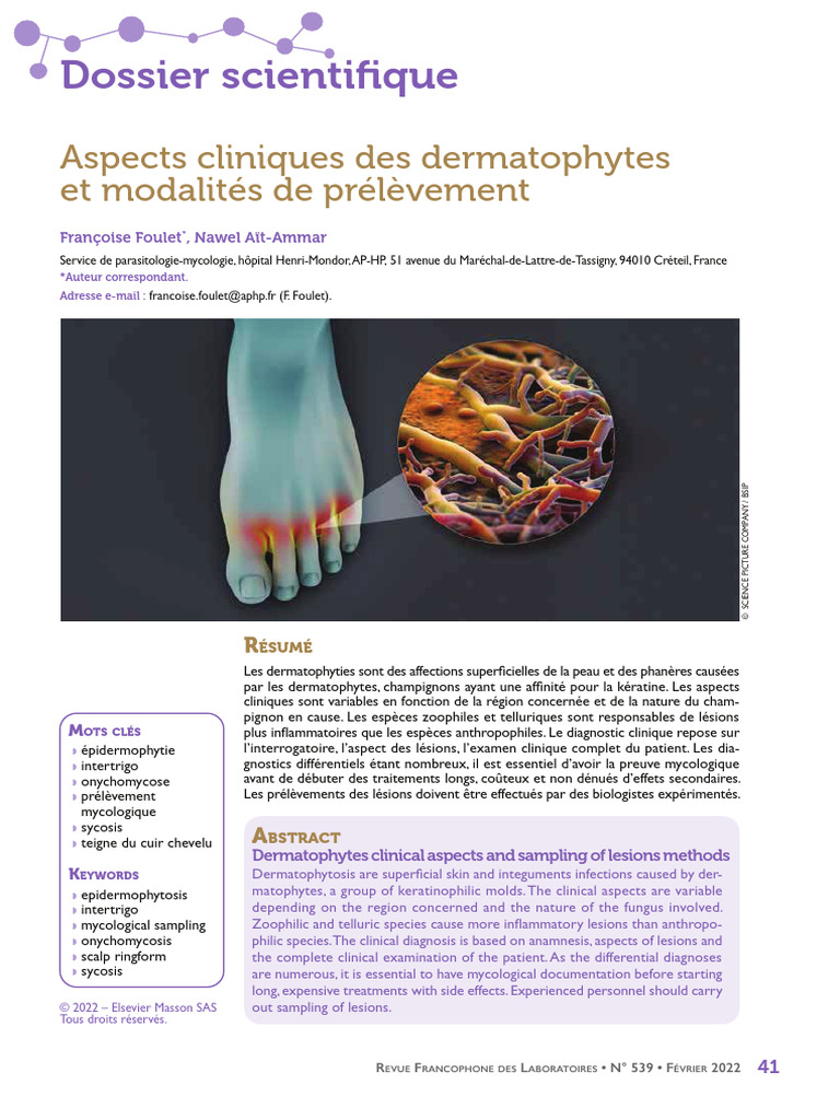 Aspects Cliniques Des Dermatophytes | PDF