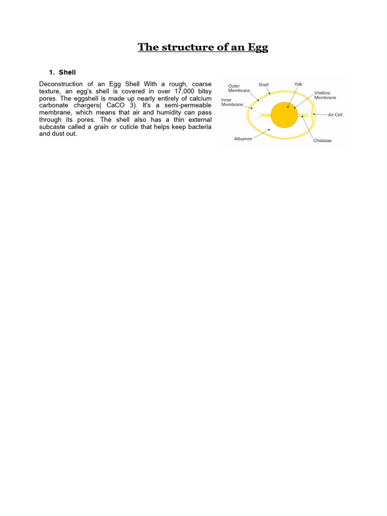 The Structure of An Egg 14 | PDF | Home & Garden