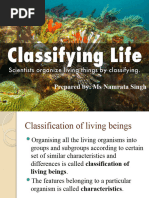 Animal Classification Charts | PDF | Invertebrate | Egg