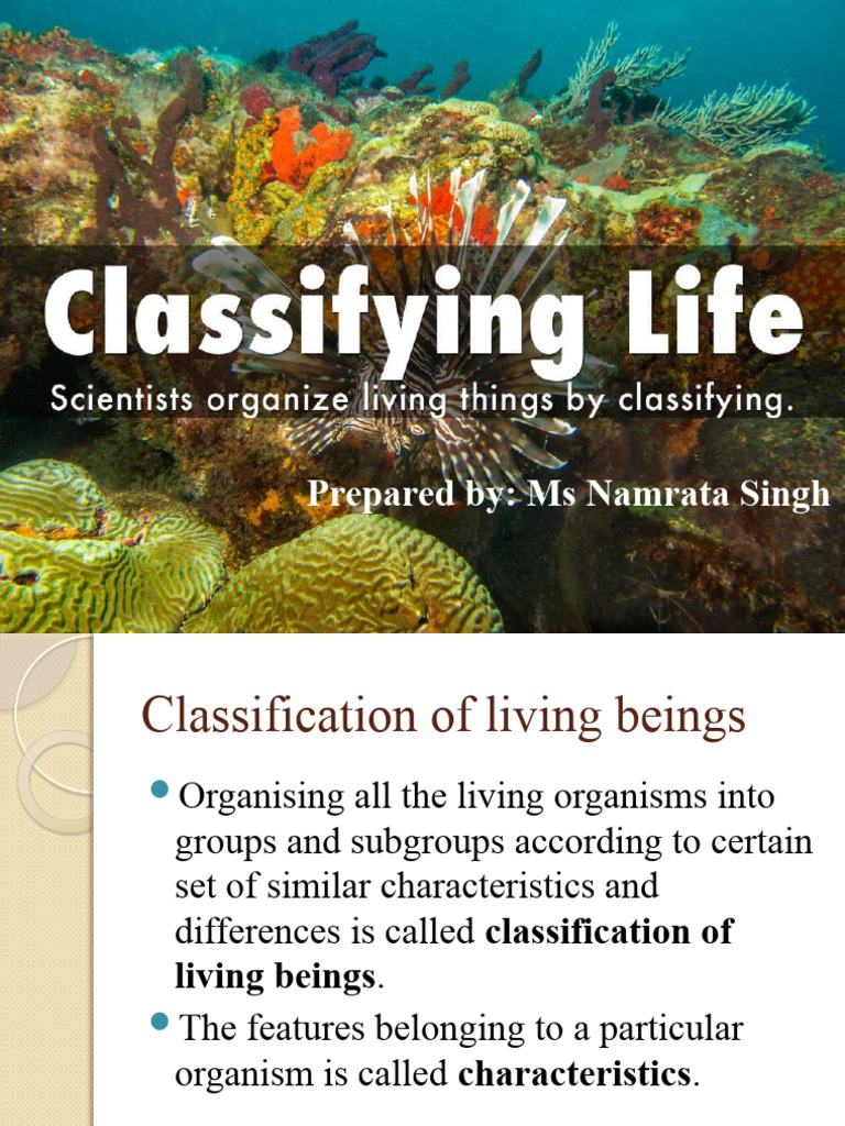 Classification of Living Organisms Class 6 | PDF | Leaf | Invertebrate