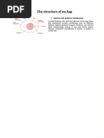 ISU Mechanical Engineering Flowchart | PDF | Engineer | Engineering