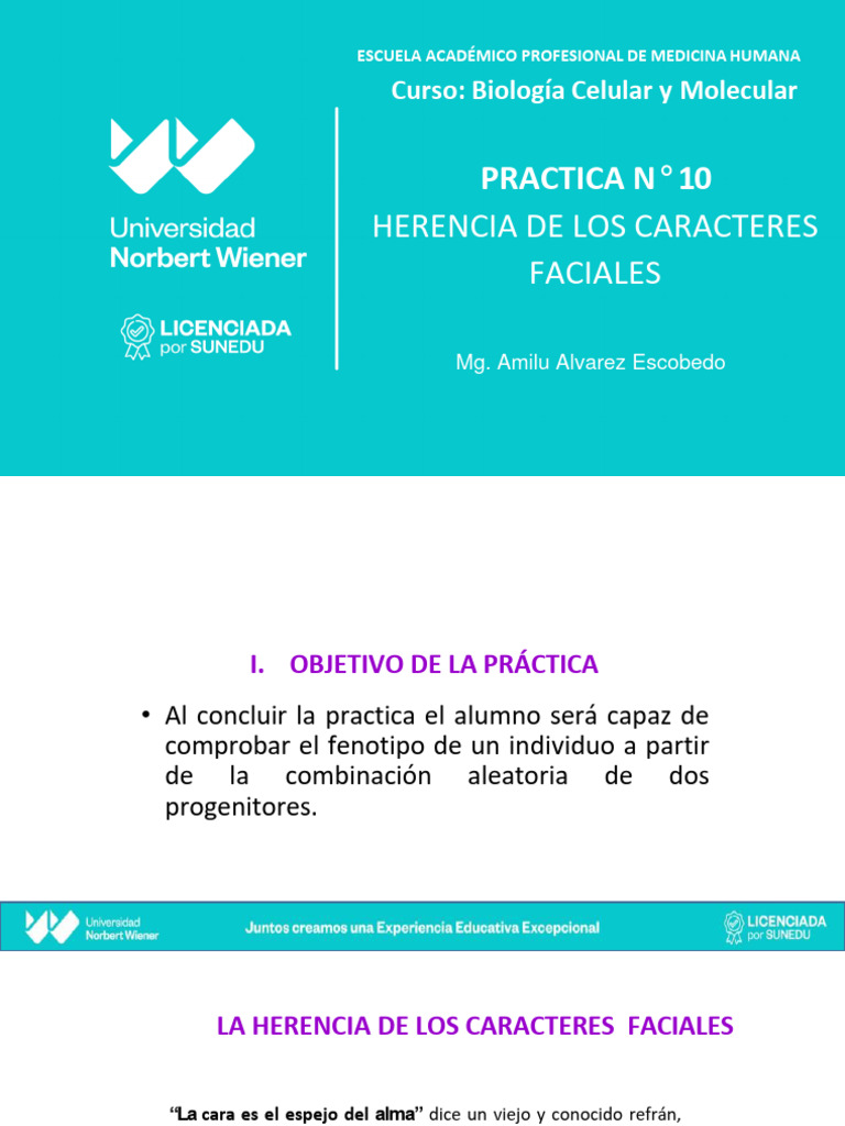 Herencia Genética de Rasgos Faciales | PDF