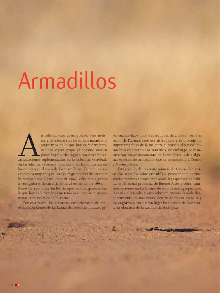 14 Armadillos | PDF
