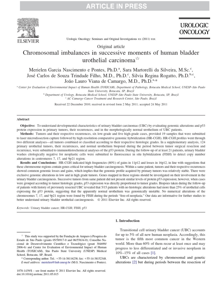 Chromosomal Imbalances In Successive Moments Of Human Bladder Urothelial Carcinoma Pdf