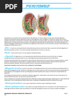 Omentos mayor y menor_ Anatomía, ubicación y función _ Kenhub | PDF ...