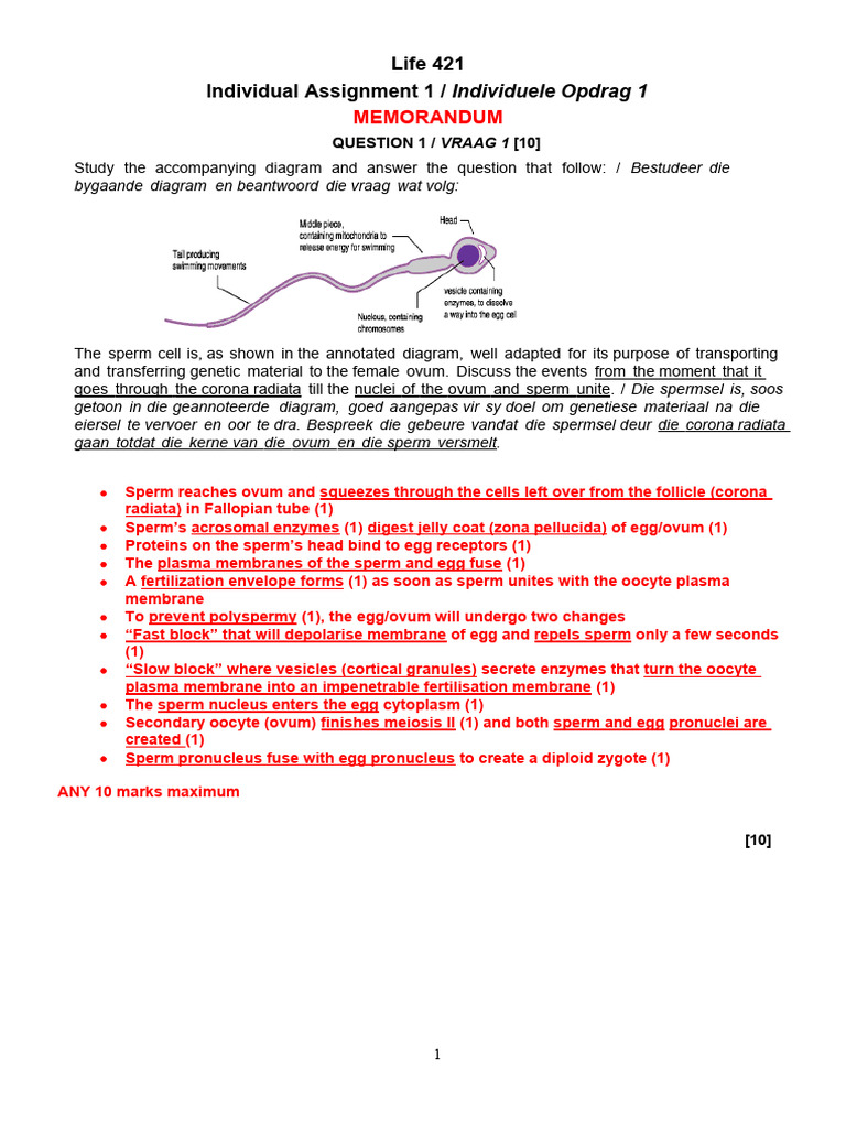 Assignment 1 - Opdrag 1 - 2022 - Memo | PDF | Educational Assessment ...