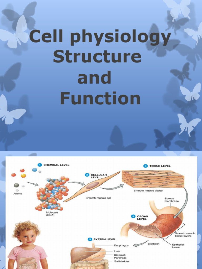 Cell Physiology-1 | PDF | Cell (Biology) | Endoplasmic Reticulum