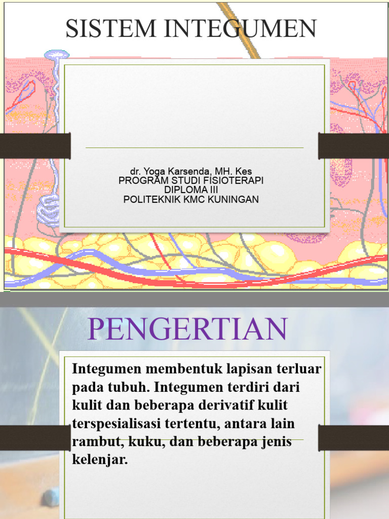 Sistem Integumen | PDF