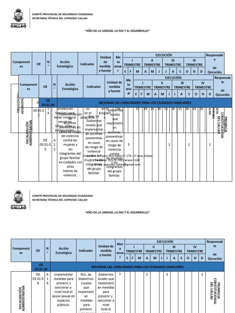 Plan Actividades Ipc | PDF