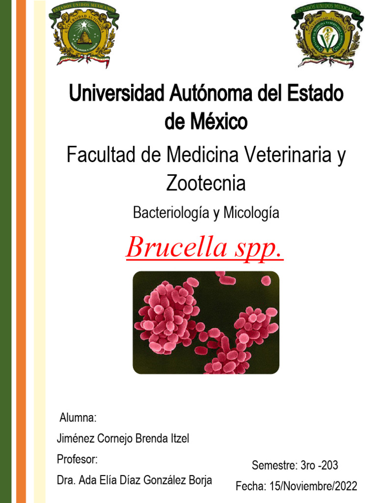 Brucella Spp. | PDF