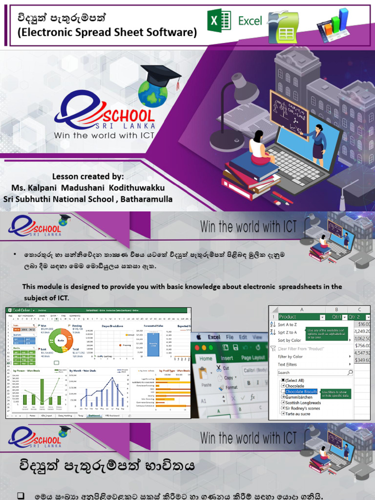 (Electronic Spread Sheet Software) | PDF