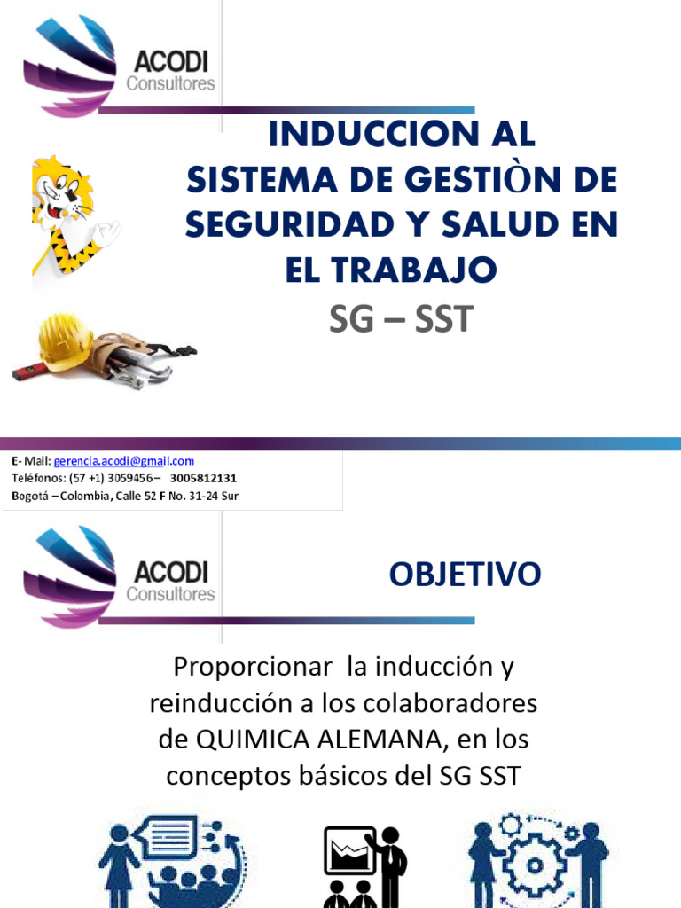 Capacitacion Induccion y Reinduccion SG-SST | PDF | Negocios | Tecnología