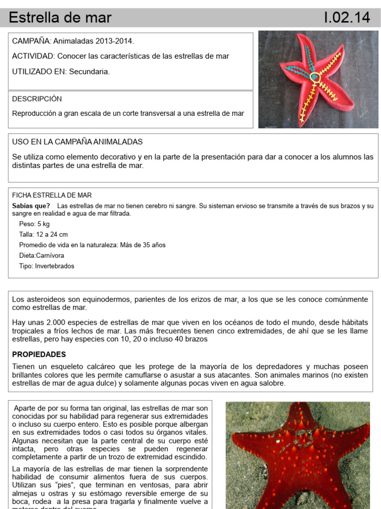 Estrella de Mar | PDF