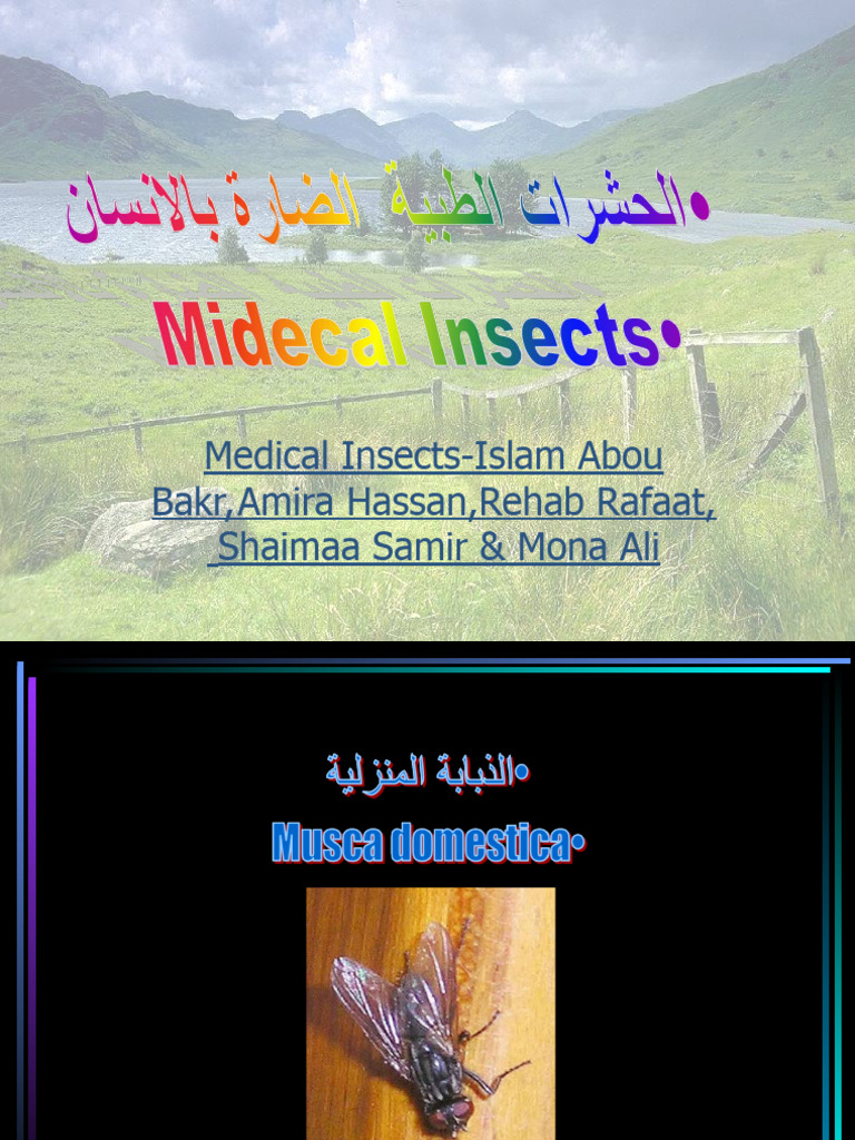 Medical Insects-Islam Abou Bakr, Amira Hassan, Rehab Rafaat, Shaimaa ...