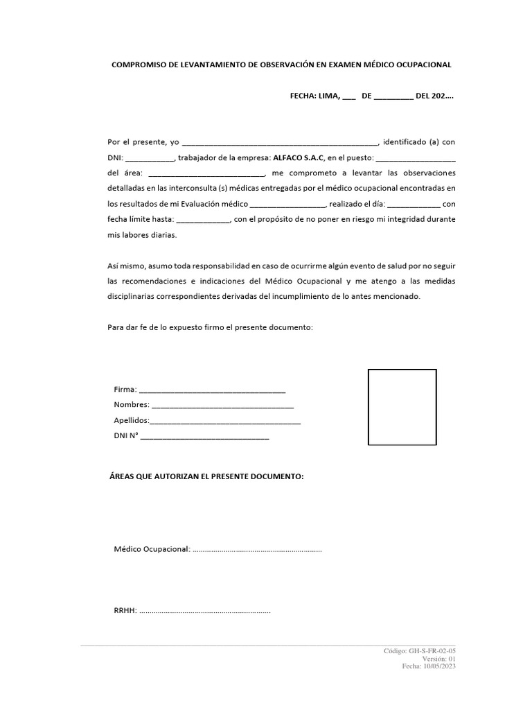 Formato Levantamiento de Observaciones | PDF