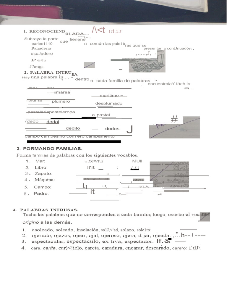 Actividades de Vocabulario y Familias de Palabras | PDF