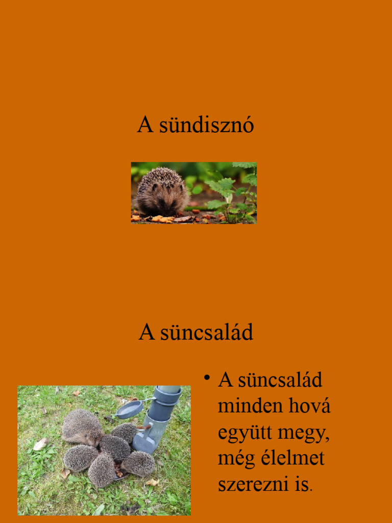 A Sündisznó | PDF