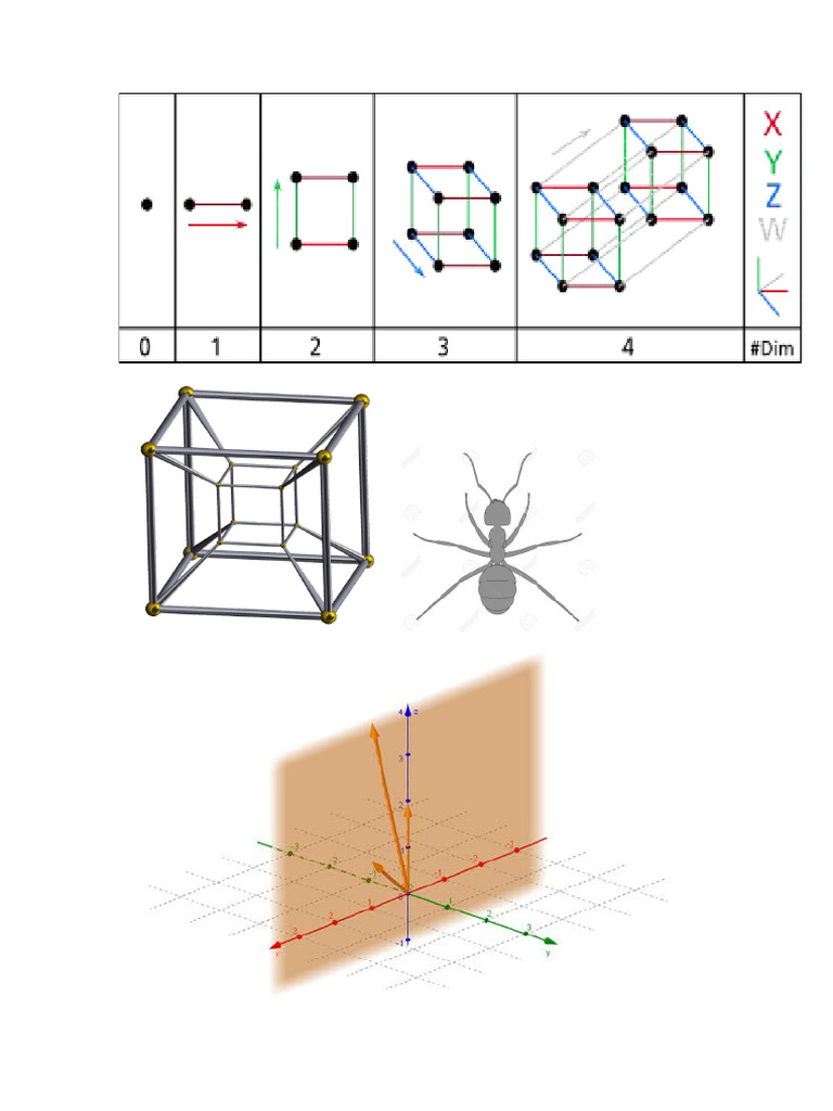 Dimencion 4D | PDF