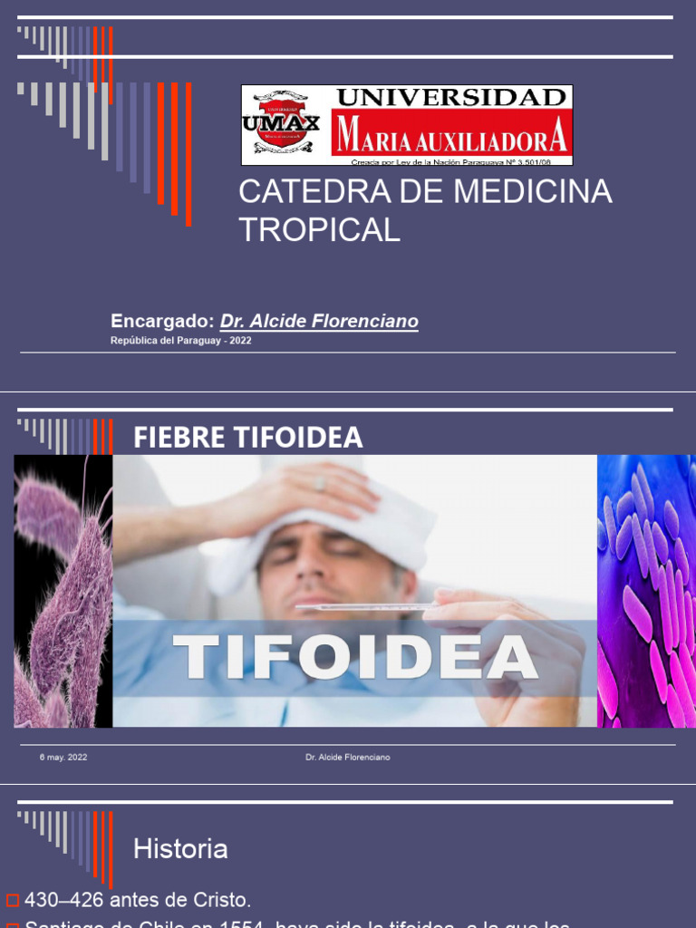 Sem 11 - Febre Tifoide y Infecciones Virales (Herpes y Hepatitis) | PDF ...