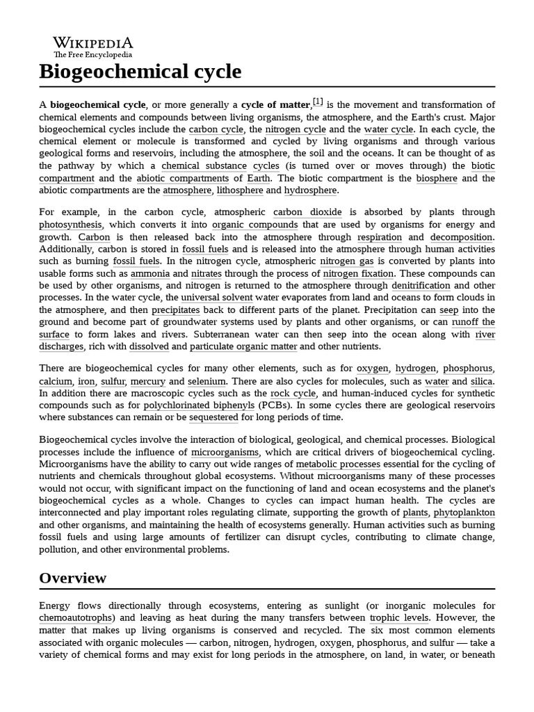 Biogeochemical Cycle | PDF