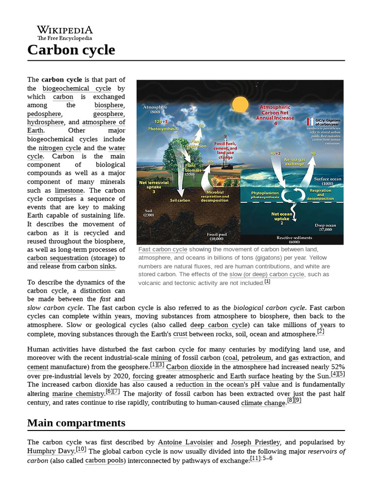 Carbon Cycle | PDF | Carbon Cycle | Climate Change