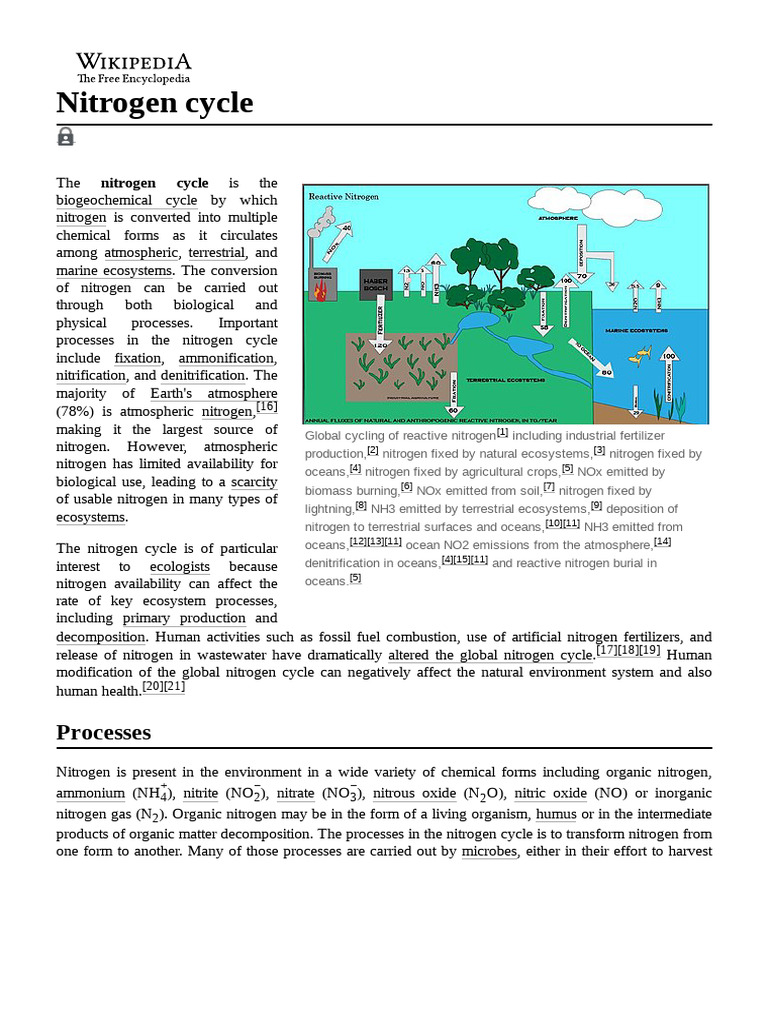 Nitrogen_cycle | PDF | N Ox | Natural Environment