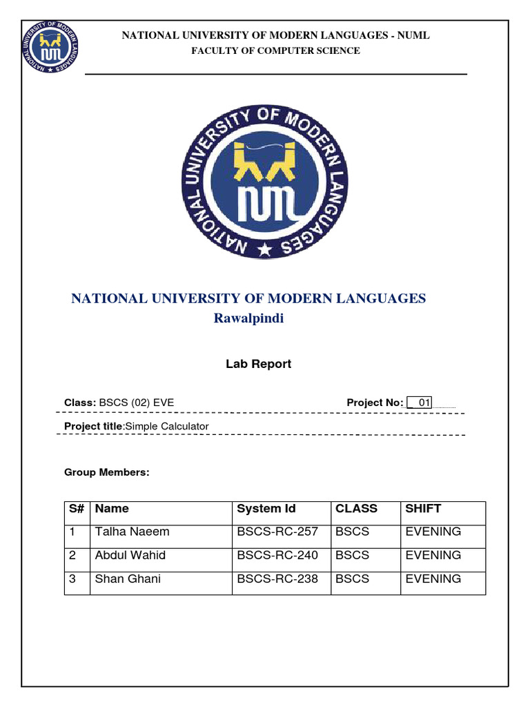 Lab Report Coal | PDF