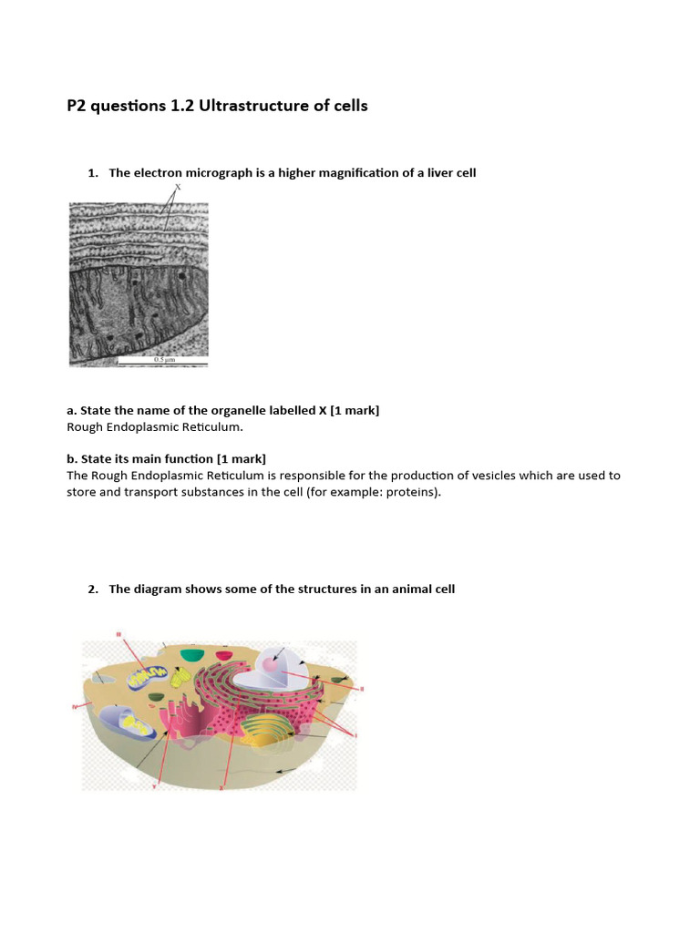 1.2 P2 Questions Ulrastructure of Cells | PDF | Cell (Biology ...