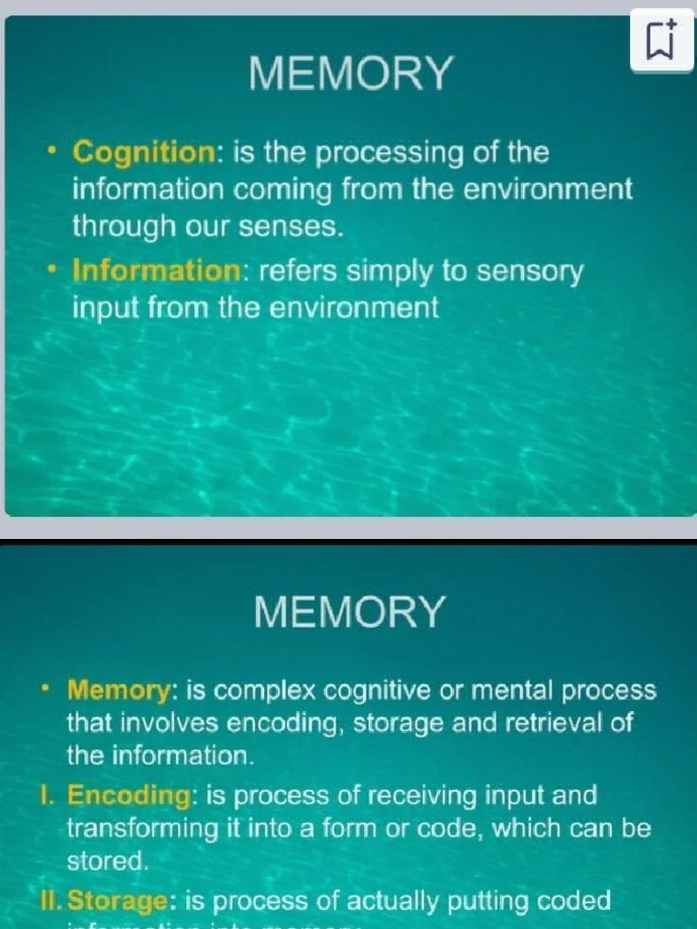 Memory, Types and Its Theories.. | PDF