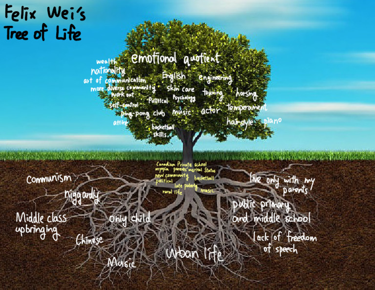 Tree of Life | PDF