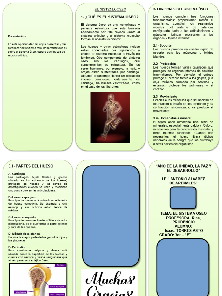 Triptico Pitagoras Las Frutas | PDF | Hueso | Esqueleto