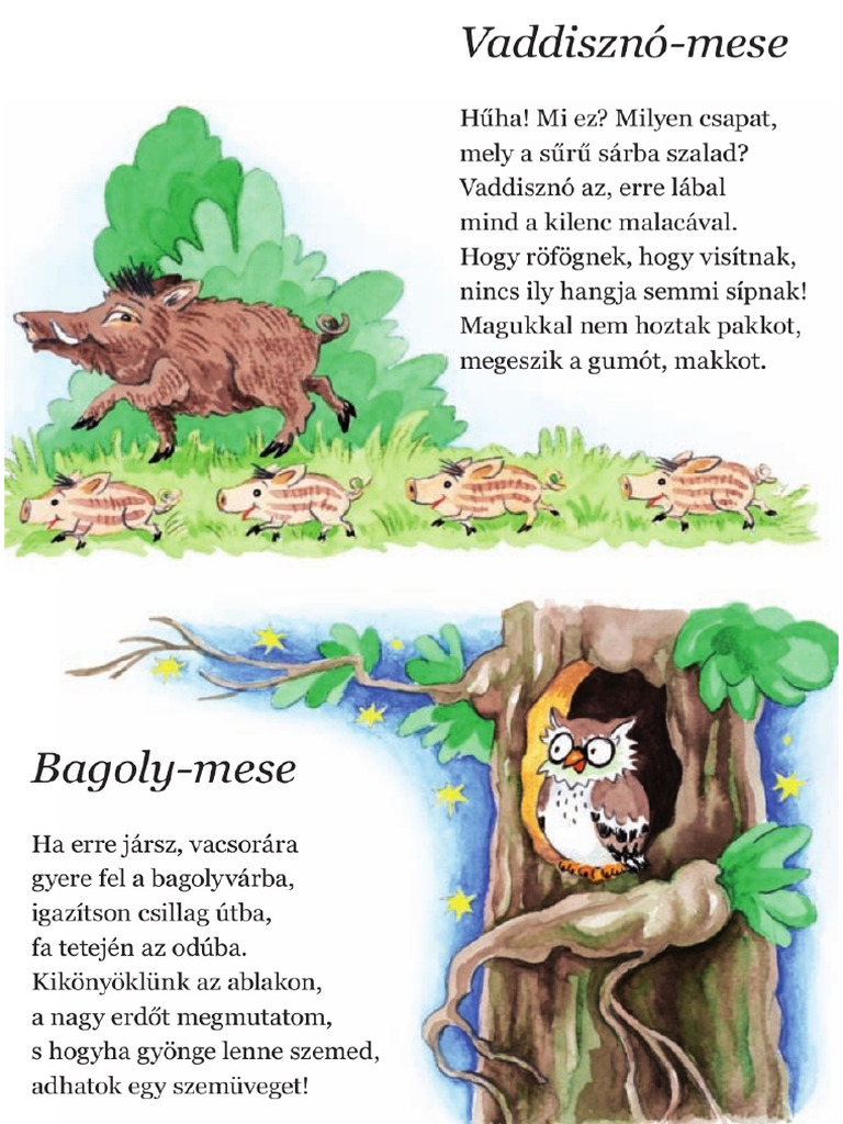 Csukás István: Vaddisznó - Mese | PDF