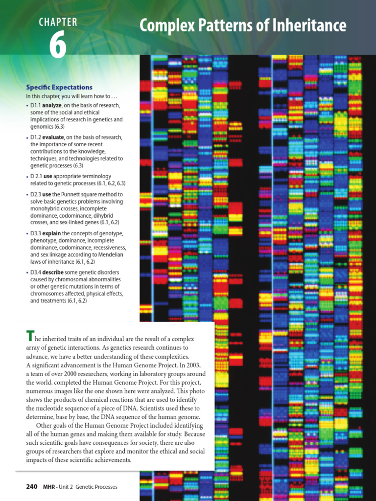 Ch-6 Patterns of Inheritance | PDF | Dominance (Genetics) | Allele