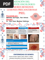 Clasificación de Fimosis Kayaba | PDF | Mamíferos machos | Pene