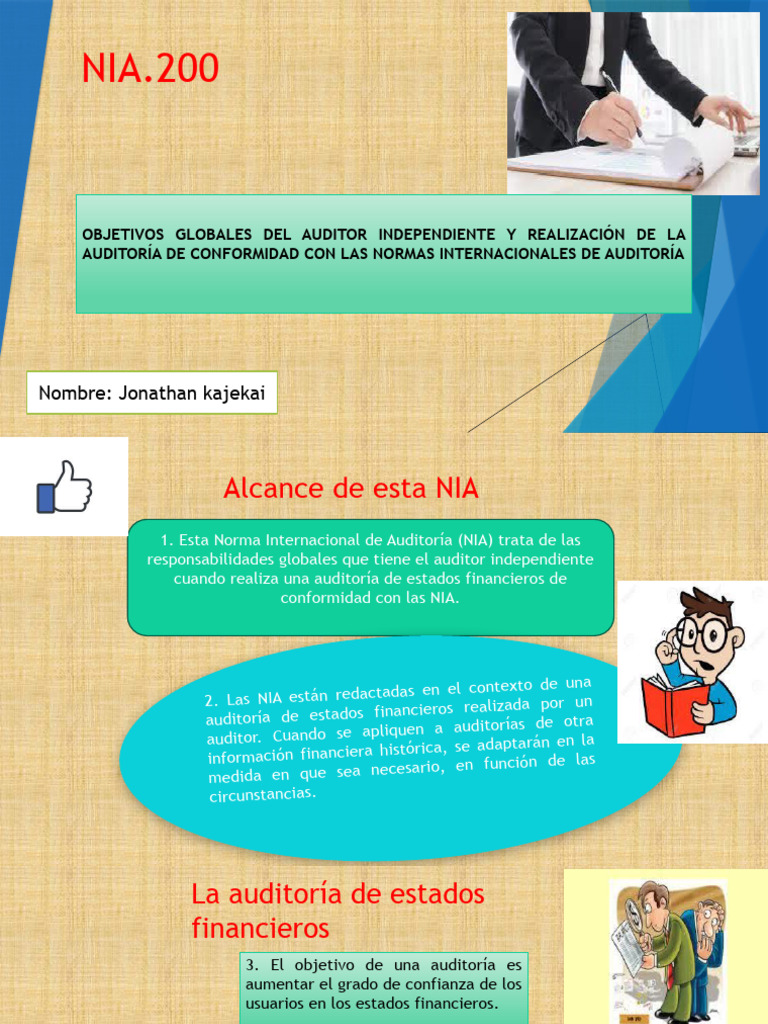 Auditoria, NIA 200 | PDF