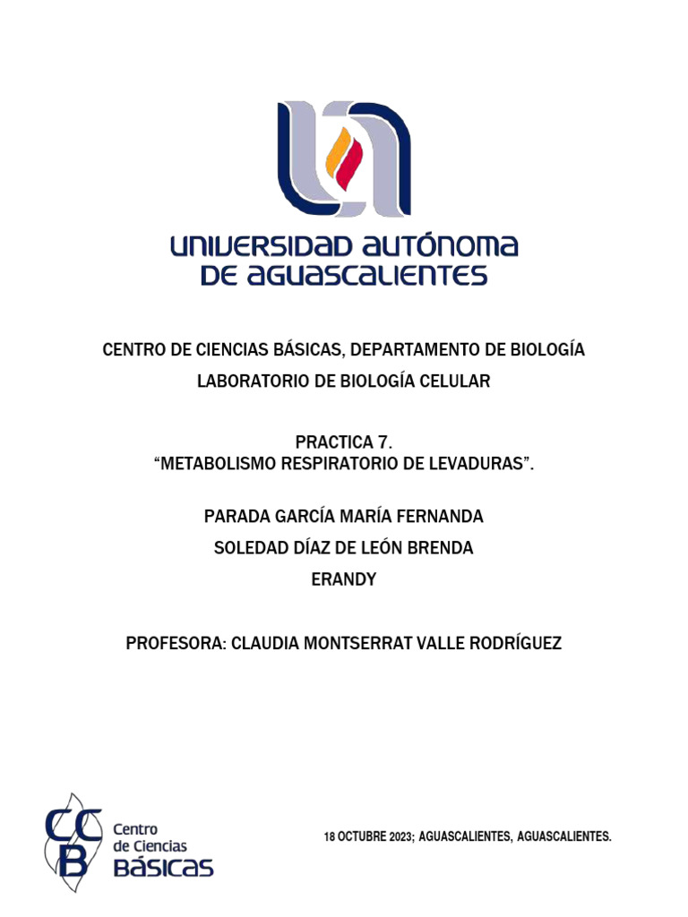 Practica.7 Levaduras | PDF | Respiración celular | Levadura