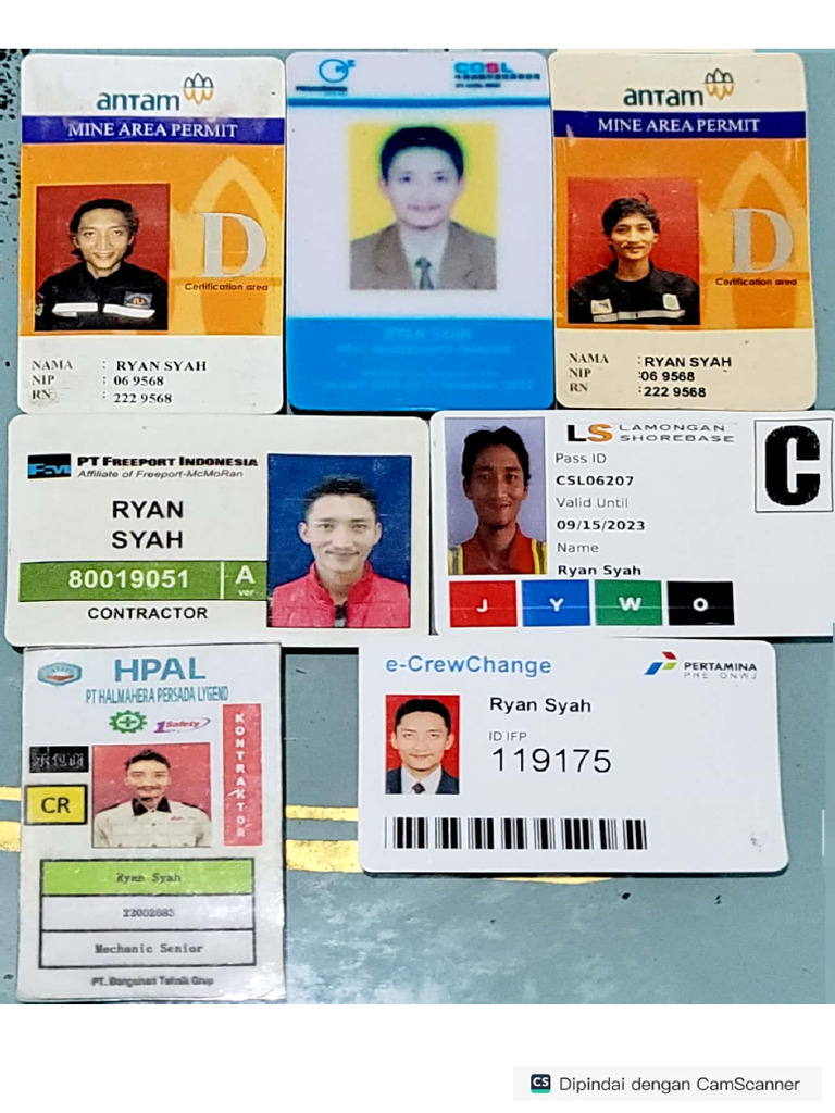 SYAH, Ryan Company ID Card From 2011 - 2023 | PDF