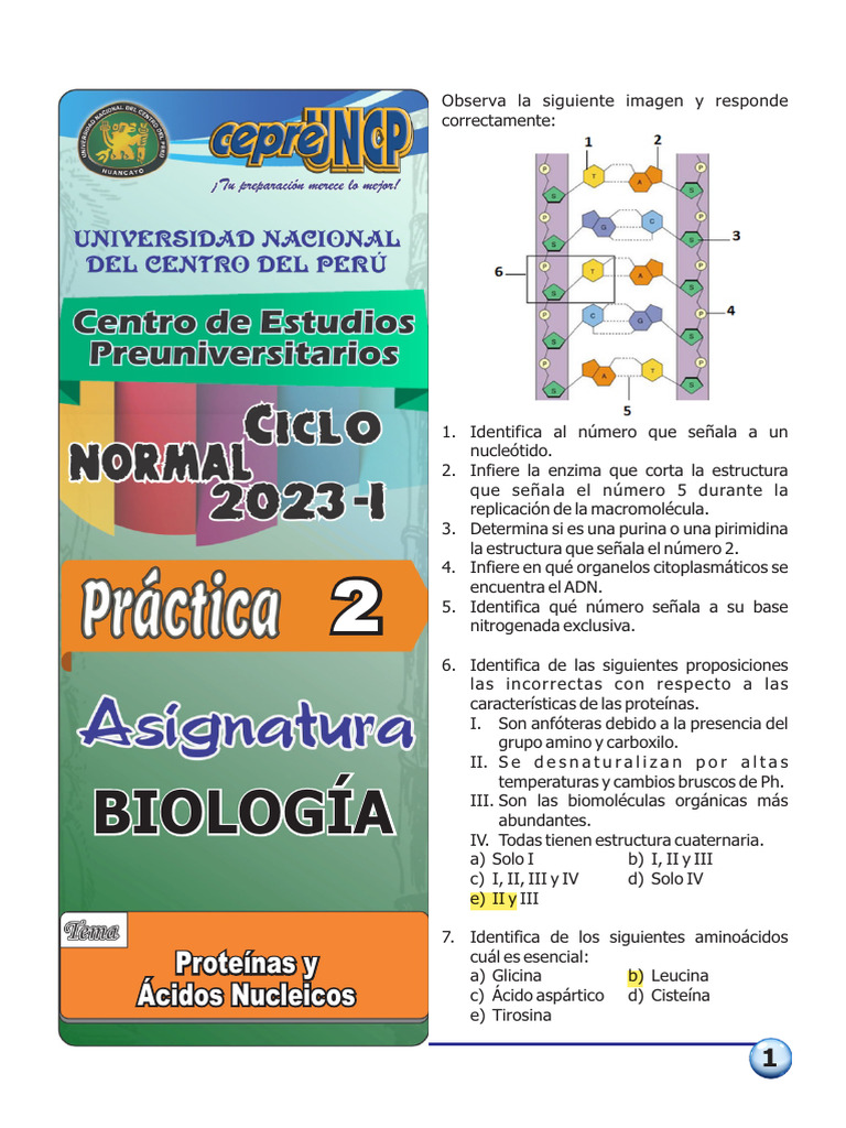 BIOLOGÍA 02 CN Practica 222 | PDF | Rna | Adn