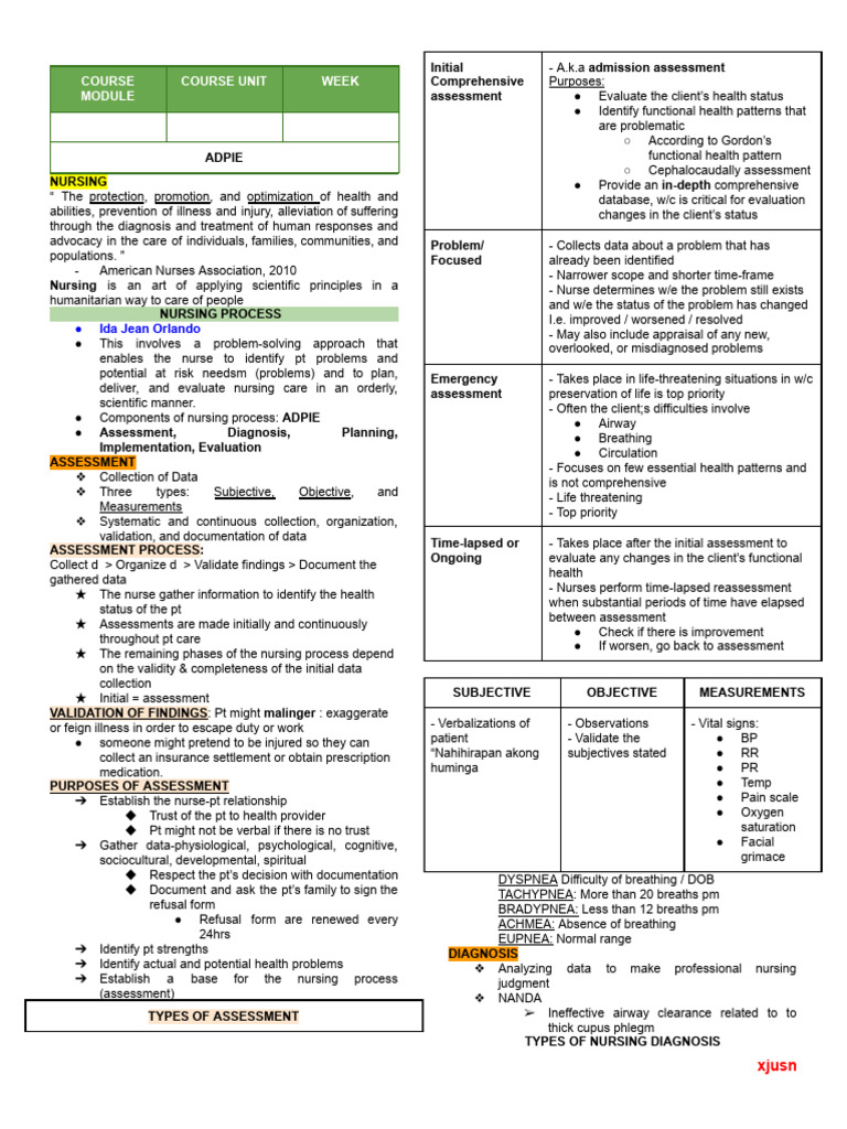 Comprehensive Nursing Assessment Guide | PDF