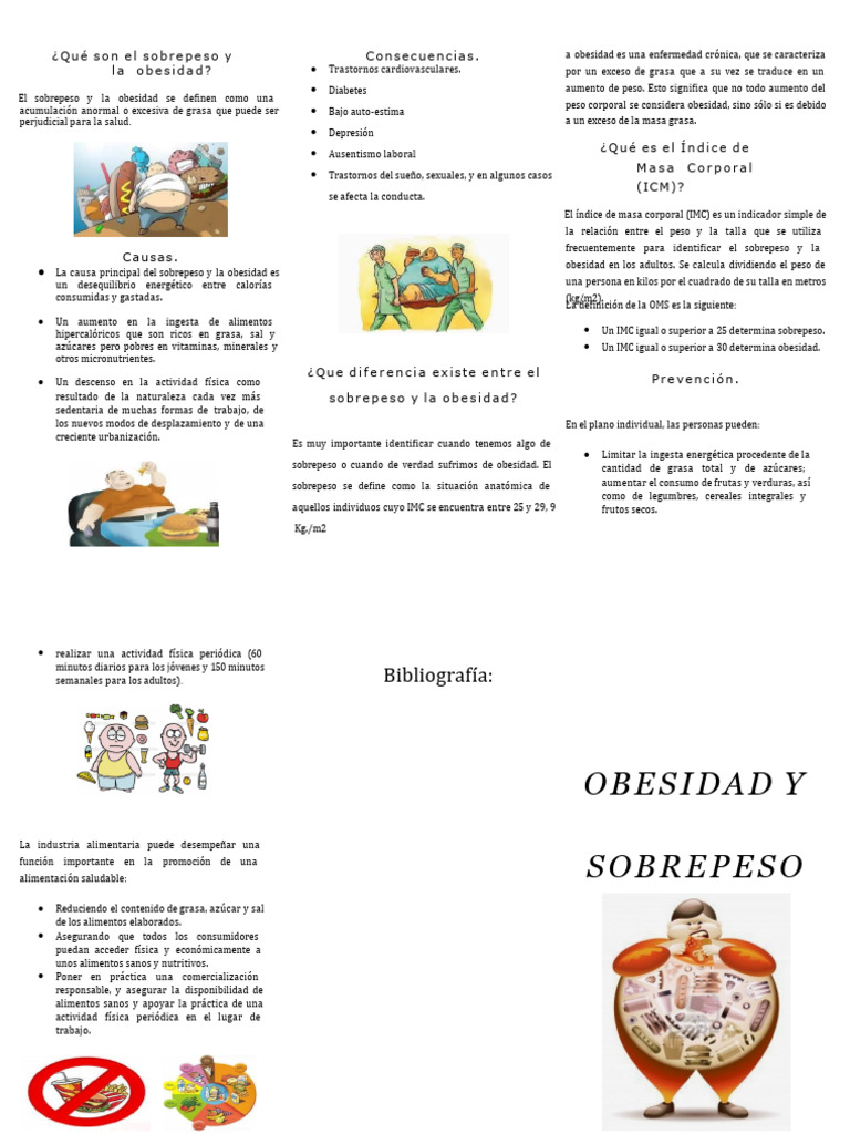 Triptico de La Obesidad 7 | PDF Triptico de La Obesidad 7 | PDF