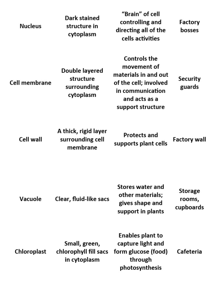 02 - Cell Worksheet Factory Cards | PDF | Cell (Biology) | Cytoplasm