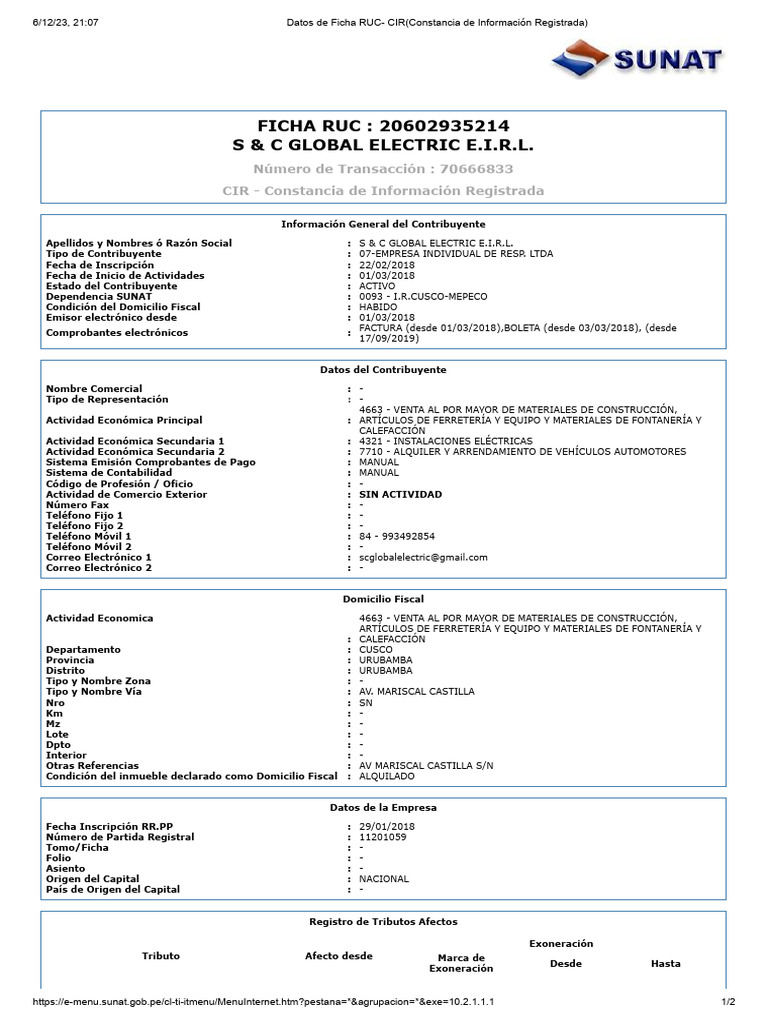 Ficha Ruc | PDF | Industrias de servicio