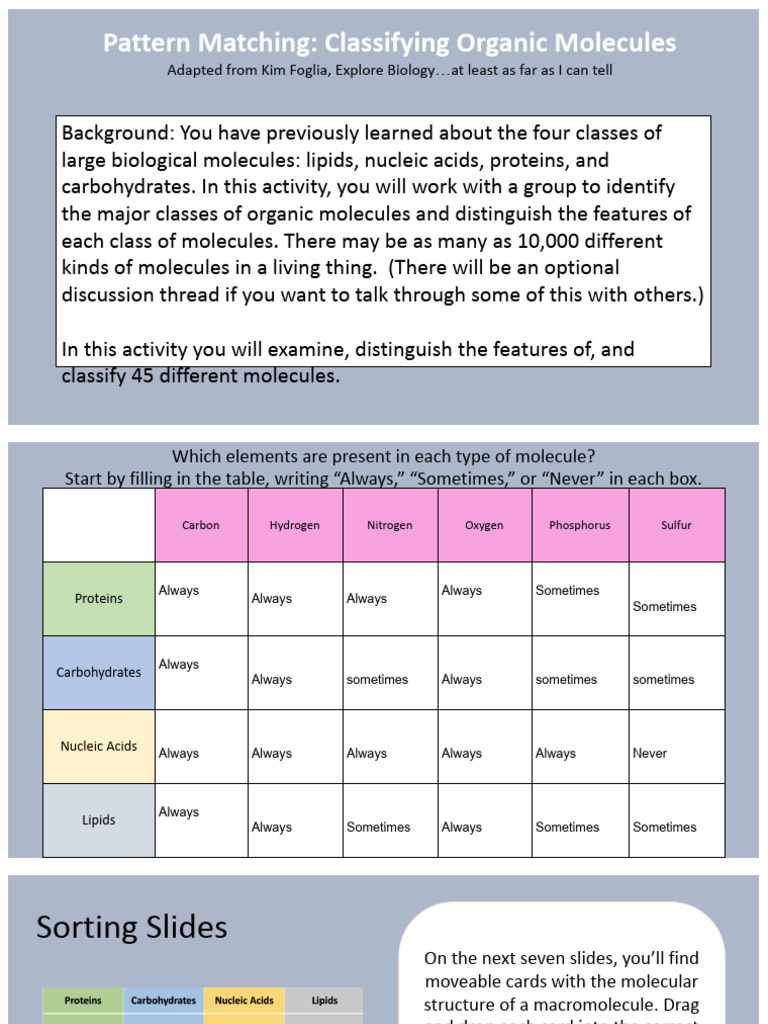 Organic Molecule Classification Activity | PDF | Nucleotides | Lipid