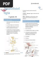 Resumen Capitulo 46 Guyton | PDF | Sinapsis | Neurona