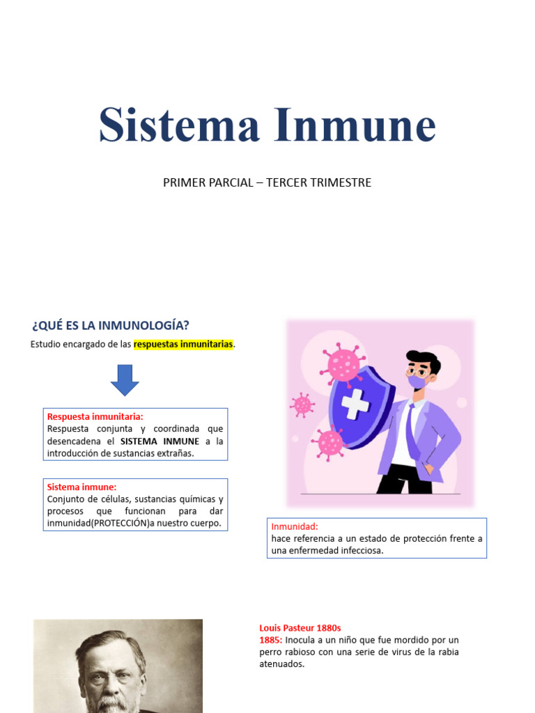 Sistema Inmune | PDF | Sistema inmune | Linfocitos