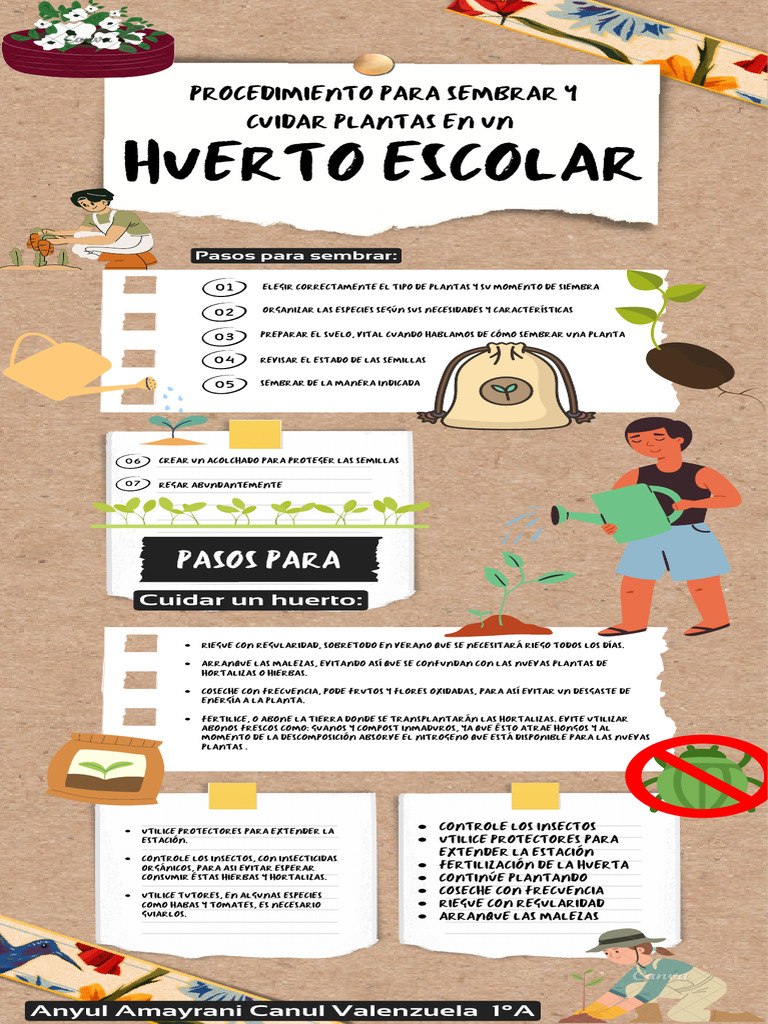 Infografia Huerto Escolar | PDF